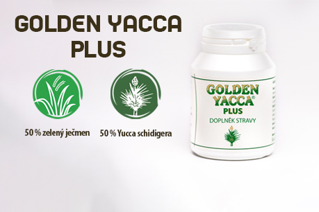 Golden Yacca Plus – detoxikace přirozenou cestou - Golden Yacca ...